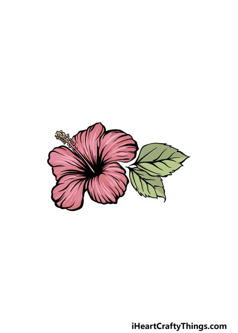 Draw A Hibiscus Flower And Label Its Parts Home Alqu
