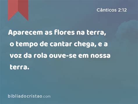 C Nticos Aparecem As Flores Na Terra O Tempo De Cantar Chega E
