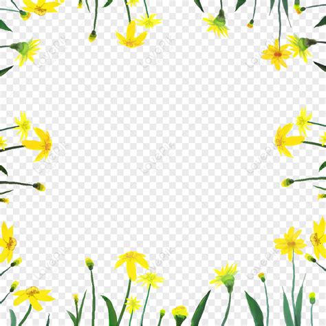 Yellow Flower Border Illustration Flowers Yellow Flower Spring
