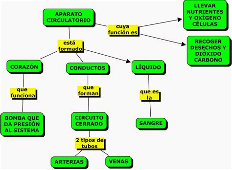 MAPAS CONCEPTUALES MIND MAPS Y SCIENCE EXPERIMENTS MAPAS