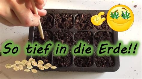 Samen Richtig Keimen In Erde Teil 1 Wie Tief Rein YouTube