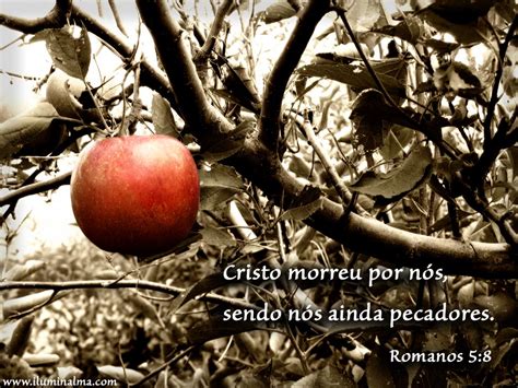 Romanos 5 8 Mas Deus Prova O Seu Amor Para Conosco Em Que Cristo