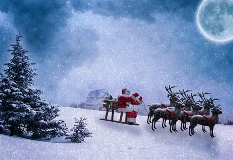 Les rennes du Père Noël Découvrez leurs noms enchantés