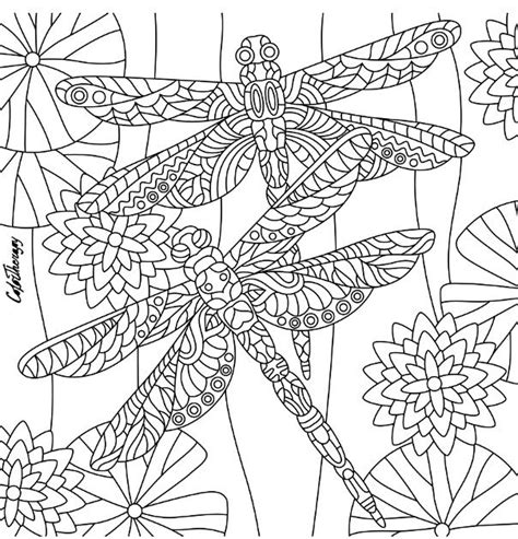 21 Dragonfly Coloring Page For Adults Free Wallpaper