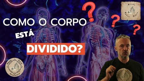 Como O Corpo Esta Dividido Nessa Aula Voc Aprende Sobre A Divis O