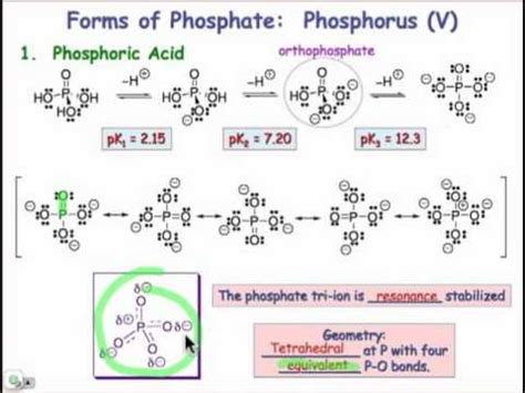 Are Phosphate And Phosphorus The Same Demystifying The Chemistry