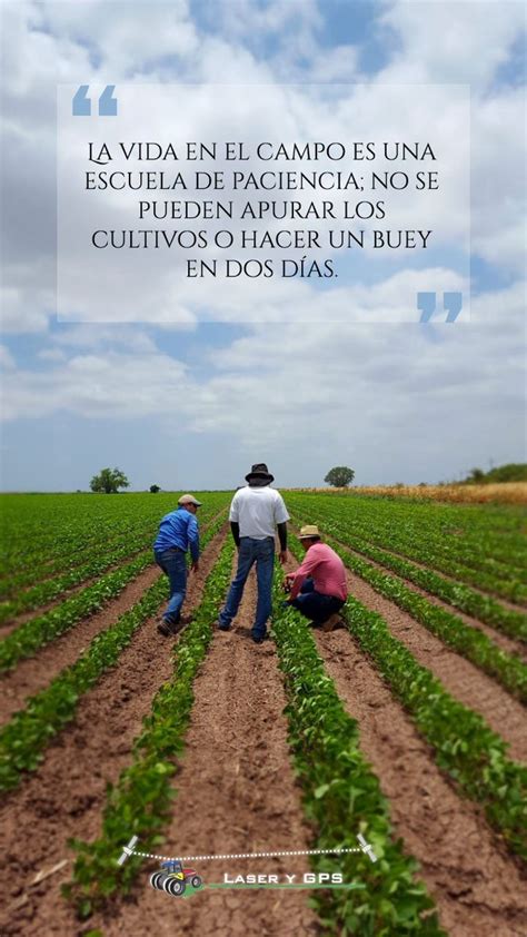 Será Menagerry juguete frases sobre el campo fuente Pesimista ladrón