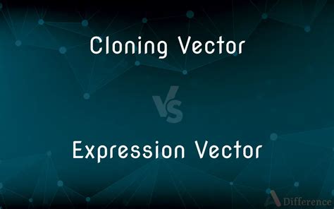 Cloning Vector Vs Expression Vector Whats The Difference