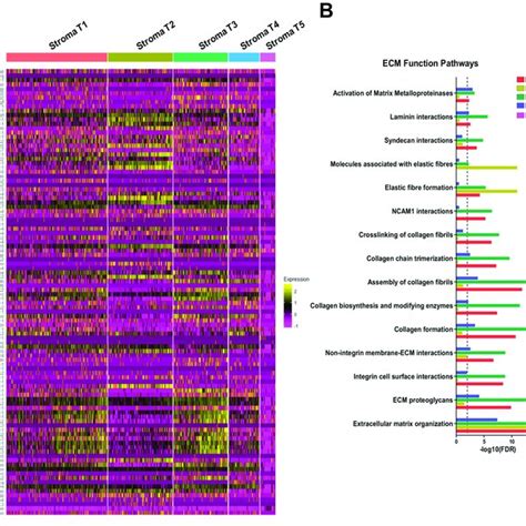 dimensionality reduction and heatmap analyses of single cell rna download scientific diagram