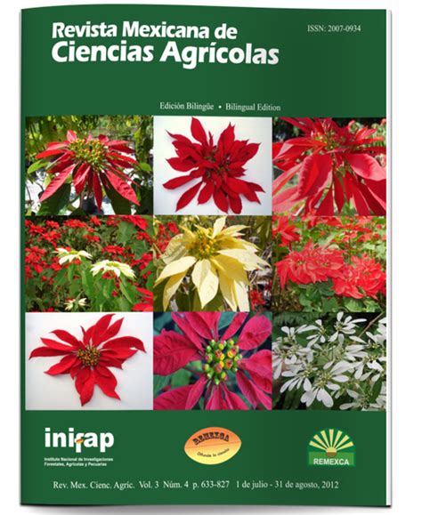 Details 48 Nochebuena De Sol Abzlocal Mx