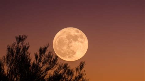 2024 Dolunay Takvimi Ve Astrolojik Etkileri