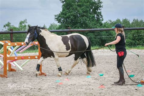 Savoir éthologique 2 Le guide complet Contre Galop