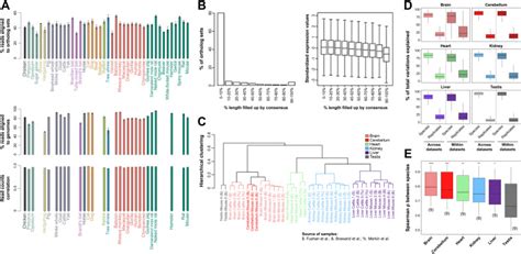 Distinct Longevity Mechanisms Across And Within Species And Their