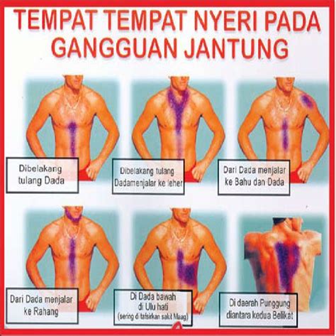 Apa Penyebab Sakit Dada Sebelah Kiri Homecare24