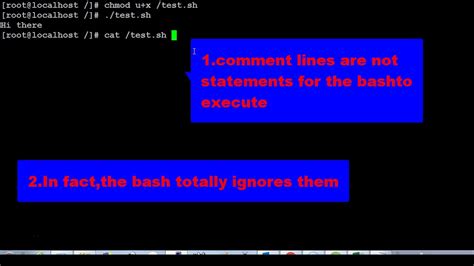 bash shell scripting for beginners commenting in bash script youtube