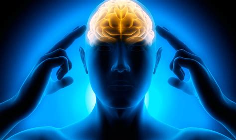 7 Cara Meningkatkan Konsentrasi Saat Belajar Fakta Id