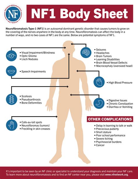 Neurofibromatosis Type 2 Gene