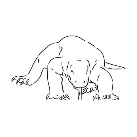 Premium Vector Hand Drawn Sketch Illustration Of Komodo Dragon