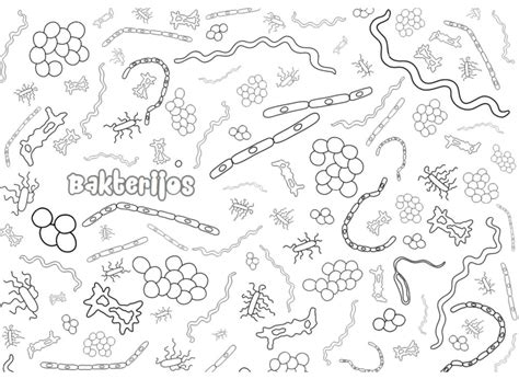 Microbios Y Bacterias Para Colorear Pepe Lt The Best Porn Website