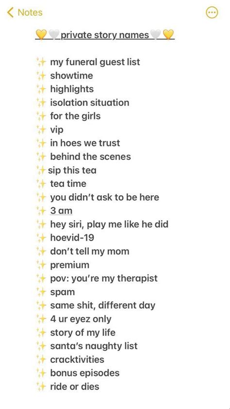 Funny Private Story Names For Guys In 2022 Funny Instagram Names Short