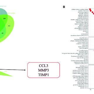 Identification And Functional Annotation Of Degs And Hub Gene