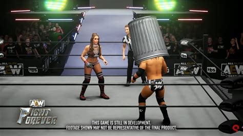 AEW Fight Forever Elite Edition Announced Matt Hardy Revealed As