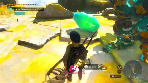 Zelda Tears Of The Kingdom North Necluda Sky Archipelago Shrine