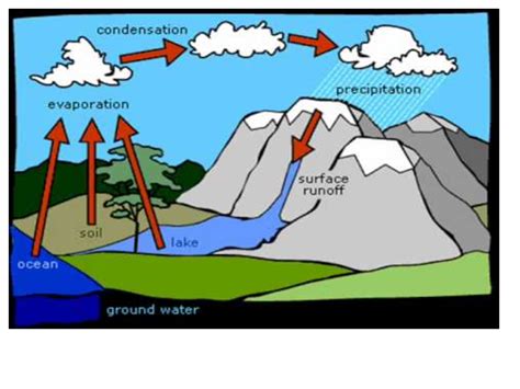 Science Grade 4 The Water Cycle Diagram Quizlet