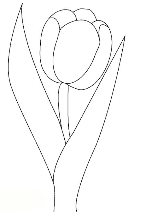 Malvorlagen Zum Drucken Ausmalbild Tulpe Kostenlos