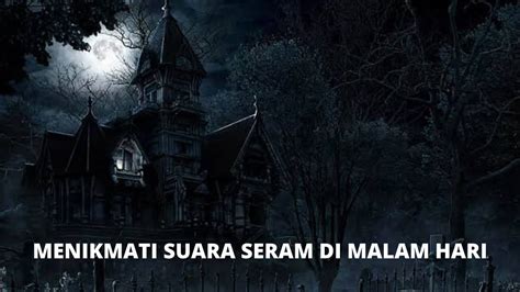 Suara Serigala Di Malam Hari Yang Menyeramkan YouTube