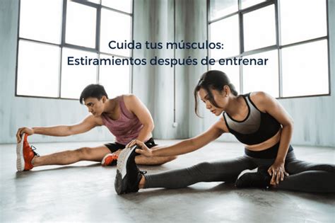 Cuida tus músculos Estiramientos después de entrenar
