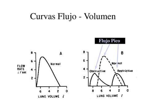 PPT FISIOLOGIA DE LA RESPIRACIÓN Dinámica pulmonar Obstrucción y