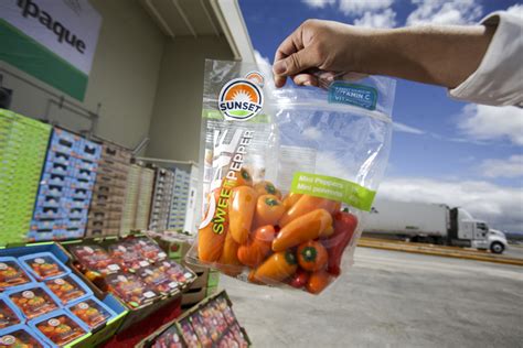 Productos De Importacion Y Exportacion
