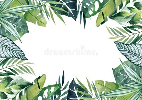 Rectangular Border Frame Green Tropical Leaves Stock Illustrations