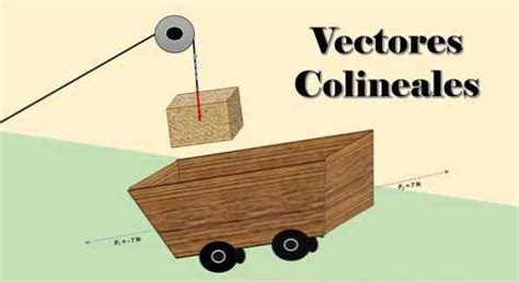 collinear vectors and examples notes read