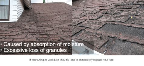 Signs Of Shingle Roof Damage ALPHA ROOFING INC