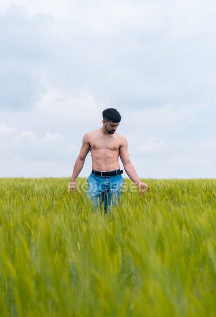 Uomo Calmo Con Torso Muscolare Nudo Che Tocca Cime D Erba Che Camminano