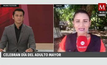 Recomendaciones Para El Cuidado De Los Adultos Mayores Grupo Milenio