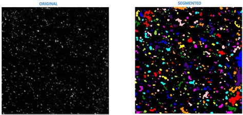 how to use watershed segmentation in opencv python stack overflow