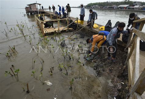 AKSI BERSIH SAMPAH PEMUDA PEDULI LINGKUNGAN ANTARA Foto