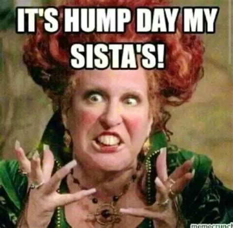 Hilarious Wednesday Hump Day Memes To Make You Laugh Lola Lambchops