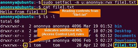 How To Give Permission To User In Linux 4 Methods