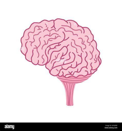 Elemento aislado del cerebro en estilo de dibujos animados Órgano