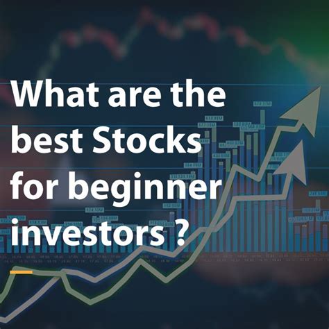 A Guide To The Best Stocks For Beginner Investors