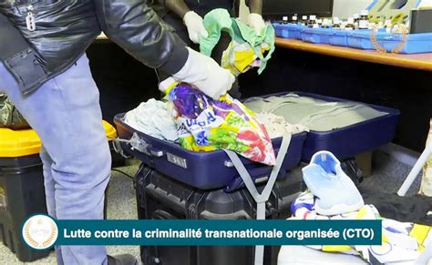 Lutte Contre La Criminalit Transnationale Organis E Cto Douanes