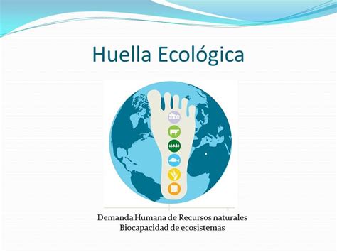 Arriba 96 Foto Mapa Conceptual De La Huella Ecologica Actualizar