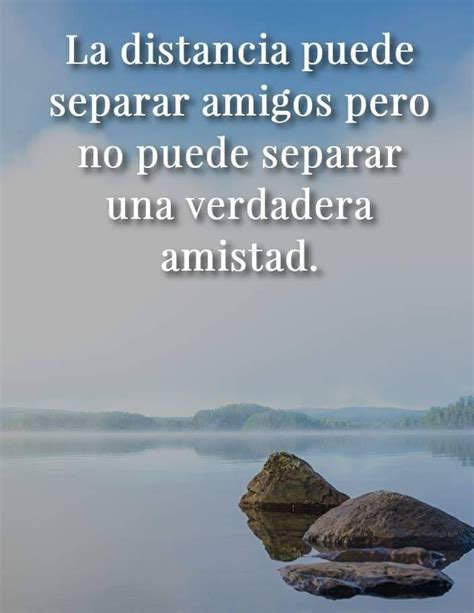 Más de 60 frases de amistades verdaderas cortas y largas para dedicar