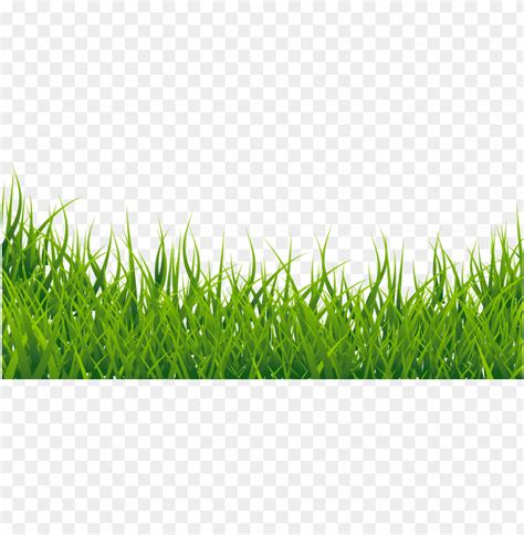 Grass Vector Free At Vectorified Collection Of Grass Vector Free