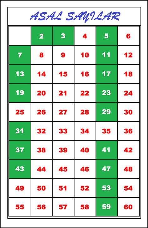 ASAL SAYILAR AFİŞİ 2320x3578 Matematik Afişleri Matematik Posterleri
