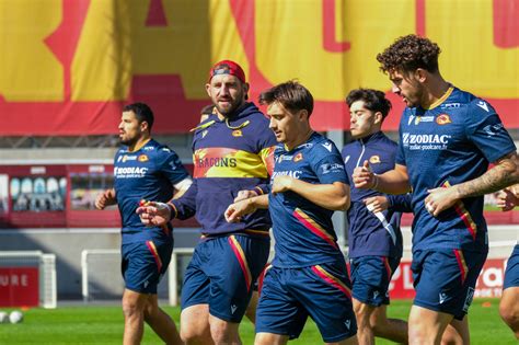 Dragons Catalans Actualités 2024 Mai Programme des entraînements